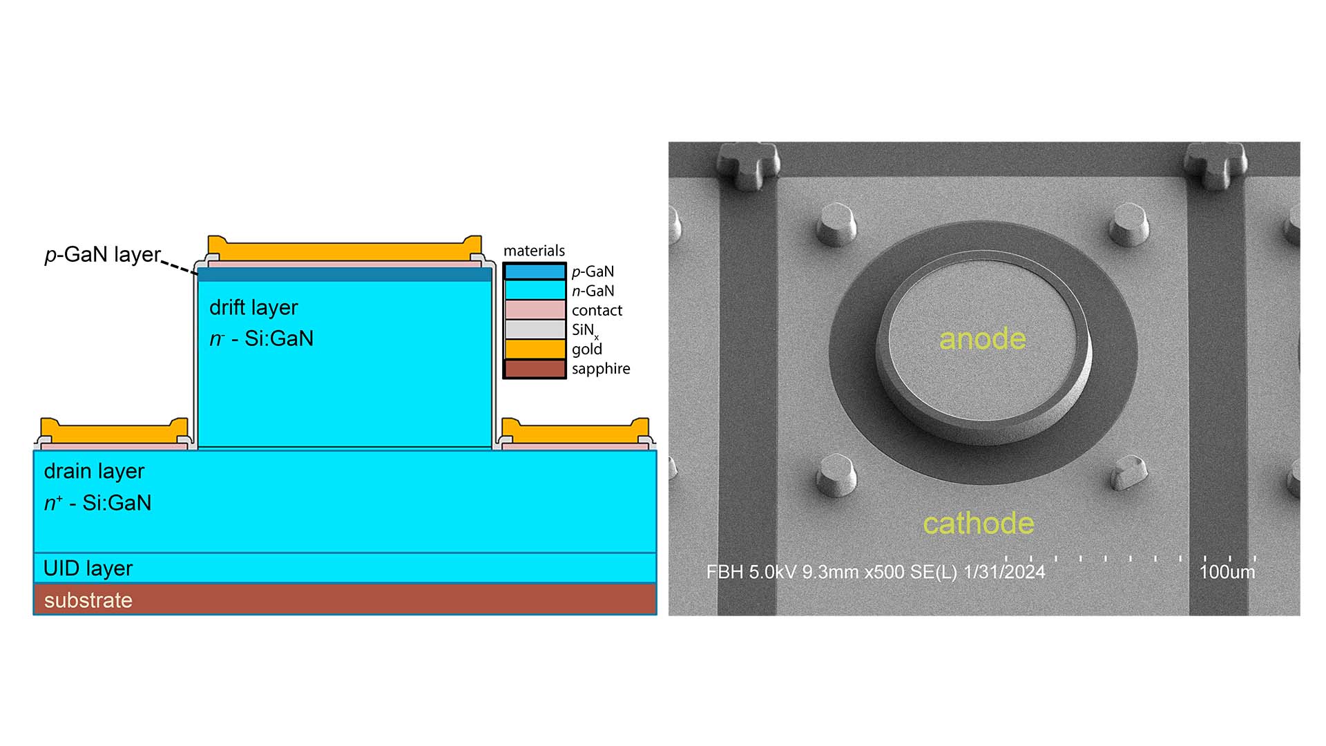 Vertical high-voltage GaN-based pn-diodes on foreign and native ...